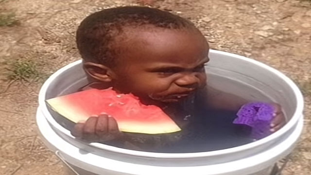 Paw Is evil (@band8818396127833382) • BandLab - Make Music Online