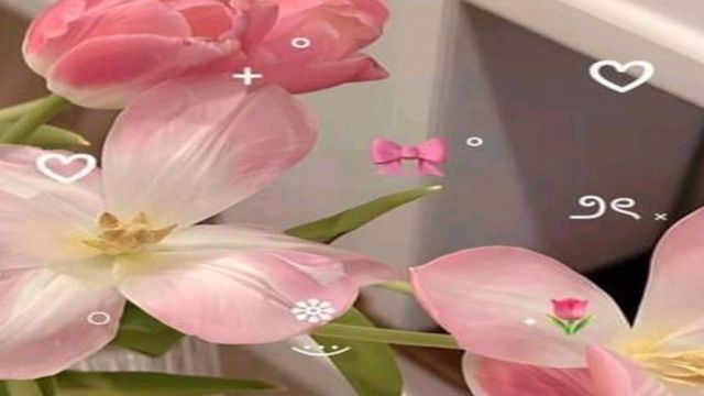 Small covers (@band8926327681697292) • BandLab - Make Music Online