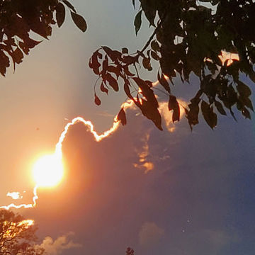 wip it out wednesday 6/11/25 by ANGIFY | BandLab