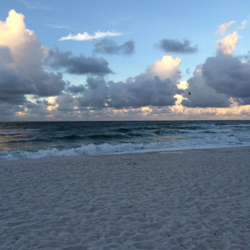 Surf (OPEN VERSE) by Dylan Droll | BandLab