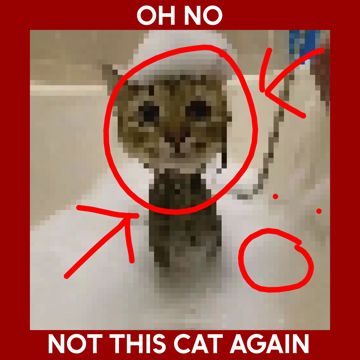 bitcrushed cat bossfight by k_hai23 | BandLab