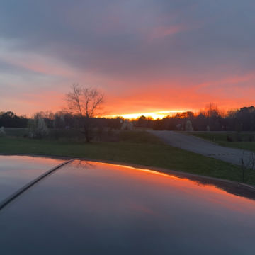 Cold Heart by Mo Mari | BandLab