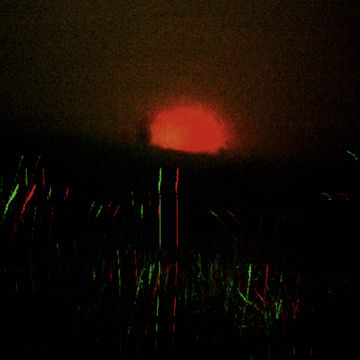 Right now |Prod. Namelesss| by 🎶RalphieOnGoᴼᶠᶠᶦᶜᶦᵃˡ | BandLab