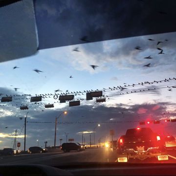 Long Time by Dylan Droll | BandLab