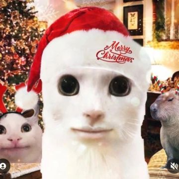 not cute anymore ₊˚⊹⋆ by .𖦹°🪲ₛₑₘᵢ ☘️𝄞𝄢 | BandLab