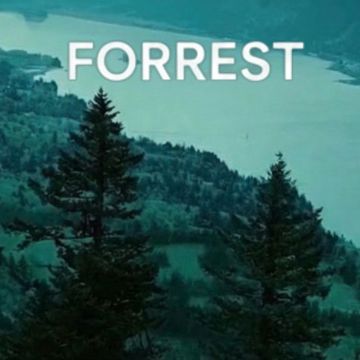 Forest, Northwest by Sampler Weavers | BandLab