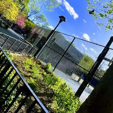 the face by Adot_Balla | BandLab