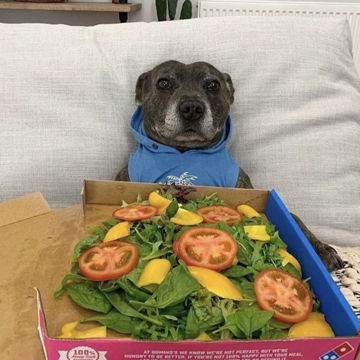 Twilight Syndrome Murder Case (ft. Berleezy) by kamii | BandLab