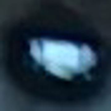 sea beat by CNRmusic | BandLab