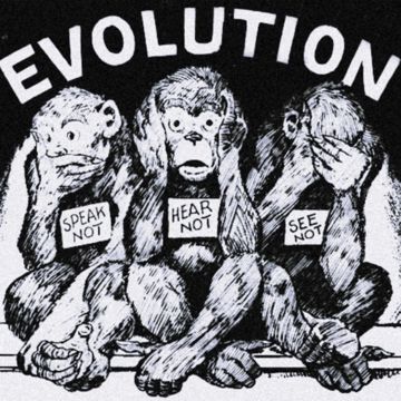 La Ley Del Simio by Novena Lirica | BandLab