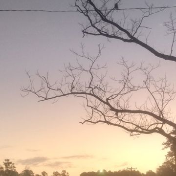 Qu33n Fiy4 - inside the music: Don't Fall by Qu33n Fiy4 | BandLab