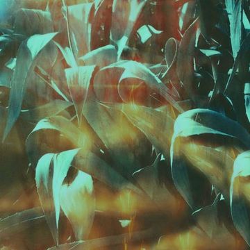 RayyJayy x Alora - I'm An Oasis by 1700 WorldWide | BandLab