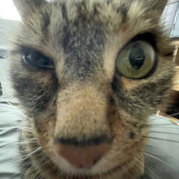 asscheeks111 by niggad | BandLab