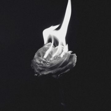 rosekiller by Jm | BandLab