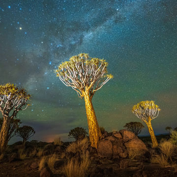 Saturn by SZA~~(cover by Sheky_Star) only vocals by Sheky_star | BandLab