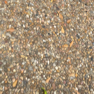 [FREE] Ginseng Type Beat (prod. me & @whykley) by Carson | BandLab