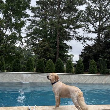 RnB Beats by Mad_E S♡ng S ️udi♡ | BandLab