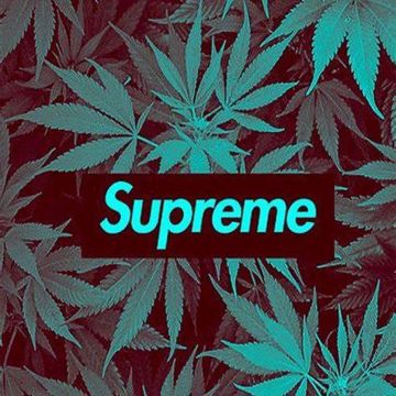 Sadie Jackson (@bigdawg_sadie) • BandLab - Make Music Online