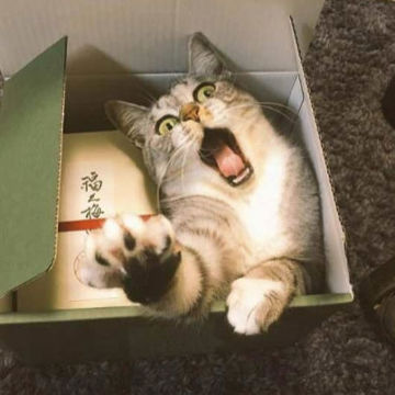 𐌌𐌀Ɀfnf >𝚠