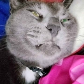 menu by Fnf vs red.virus | BandLab