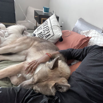 Mo Mari (@momari999) • BandLab - Make Music Online