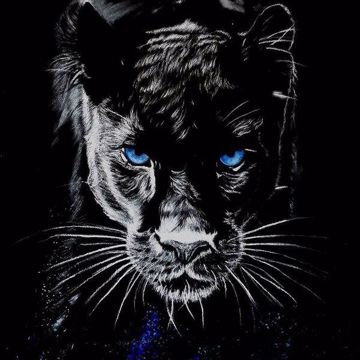 layla is cool (@cool_girl_yo) • BandLab - Make Music Online