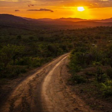 A post by Bailey Alexander | BandLab