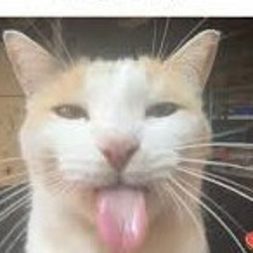 A post by are you sillius rn | BandLab