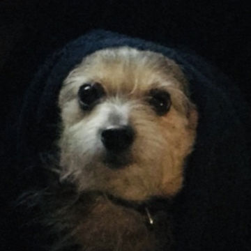 Takeoff ( open verse ) by G Locus | BandLab