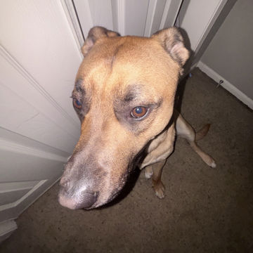 A post by ♱ cxzz ♱ | BandLab