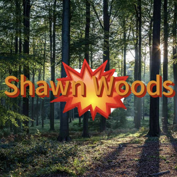🤜Shawn Woods🤛 (@shawn_woods) • BandLab - Make Music Online