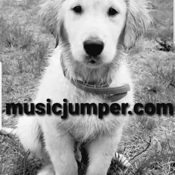 Music Jumpers (@musicjumpers) • BandLab - Make Music Online