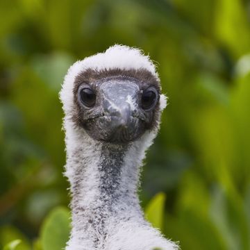 New Project by glojo | BandLab