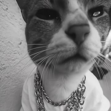 A post by RHN KK!™༒♾️PANDEMONIUMALBUM™ | BandLab