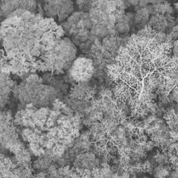 Thomas Duch (@thomasduch) • BandLab - Make Music Online