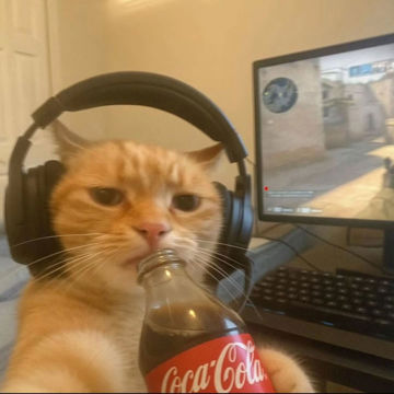 ㅤ (@kitasliys) • BandLab - Make Music Online