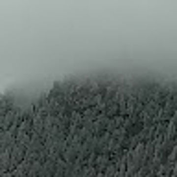 Richard Cervantes (@swisher_hood) • BandLab - Make Music Online