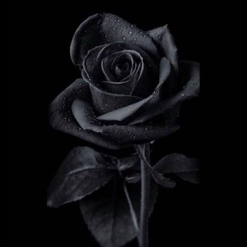 Damaged by Fno.Rose | BandLab