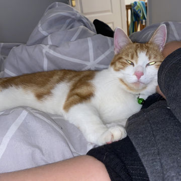 The Realist (@drop_da_mic) • BandLab - Make Music Online