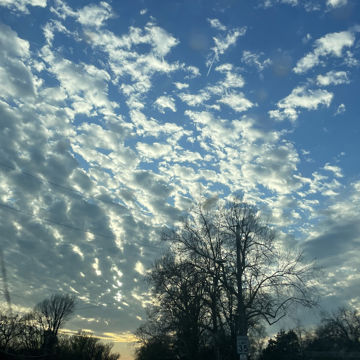 Marley Smith (@marley_sue) • BandLab - Make Music Online