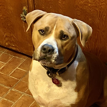 Caleb Randall (@thumpkin5225xx) • BandLab - Make Music Online