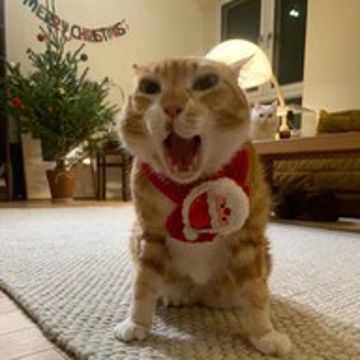 Jacob Custer (@tokinturtles) • BandLab - Make Music Online