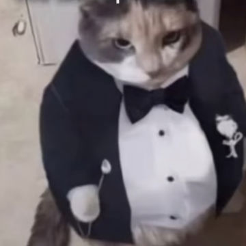 dasha (@peppa_pig_goes_onik_) • BandLab - Make Music Online