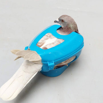 A post by WELCOMETHEMUSICIAN | BandLab