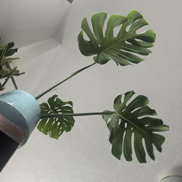 b who u r // who r u by ACACAC | BandLab