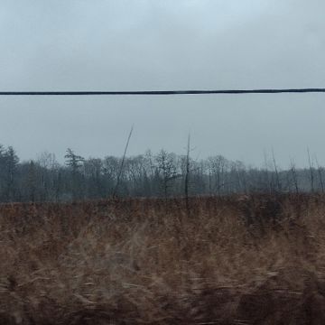 femcel (@truefemcel) • BandLab - Make Music Online