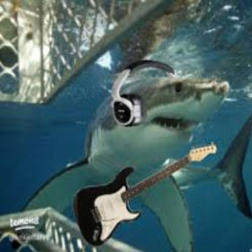 DSFA! by ToptenSharkstep | BandLab