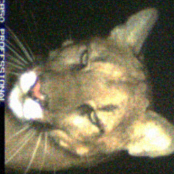 amen break by Shelllski | BandLab