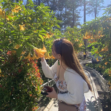 The Cut That Always Bleeds [Opposite POV] by Lexie Lopez | BandLab