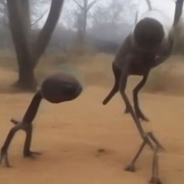 Troy Moore (@troymoore) • BandLab - Make Music Online